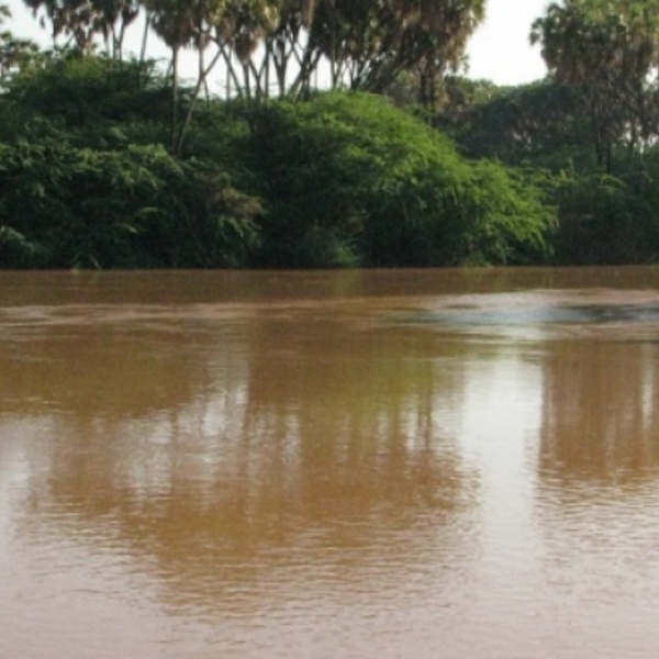 Somalia: Shabelle River floods Mahaday