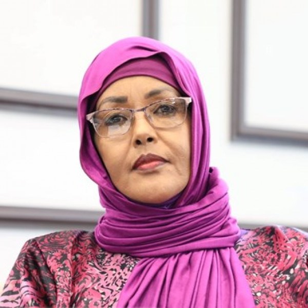 Somalia gets first ever acting female president as Hassan Sheikh visits UAE
