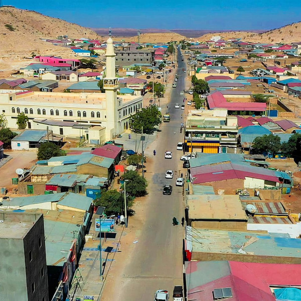 More than 20 'pro-greater Somalia' protesters killed in Lasanod