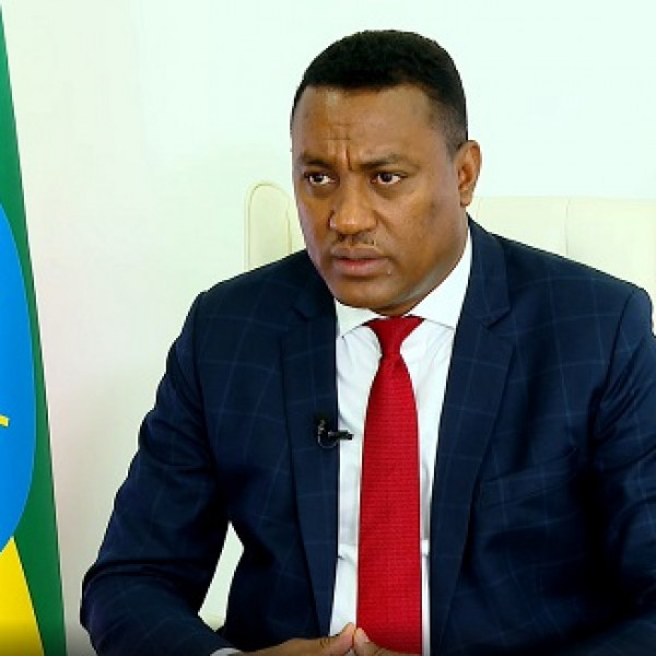 IGAD has recognized Commissioner General Demelash GebreMichael of the ...