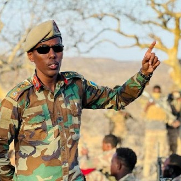 Somalia President sacks army chief General Odowaa