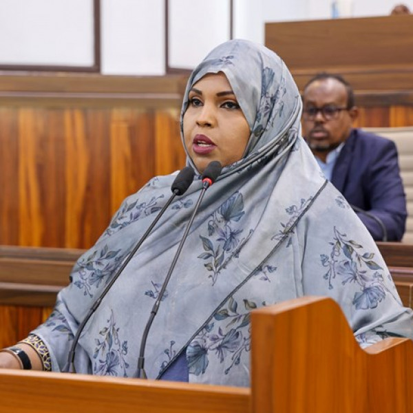 OP-ED: Hon. Marwa Bashir’s Unconventional IPU Candidacy: A Divisive ...