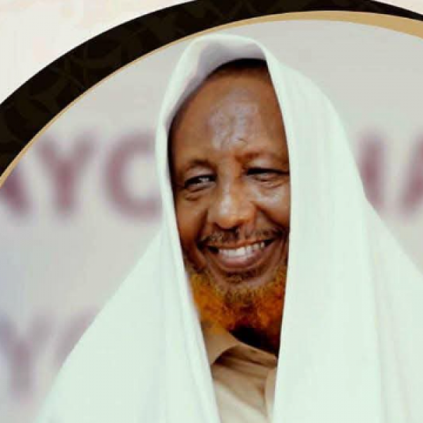 U.S. Airstrike Kills Senior Al-Shabaab Leader in Somalia