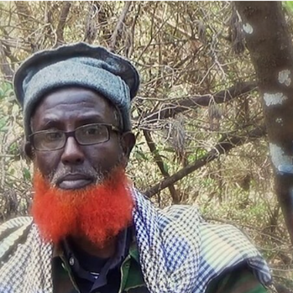 U.S. airstrikes target ISIS leader Abdulkadir Mumin in Somalia's Puntland