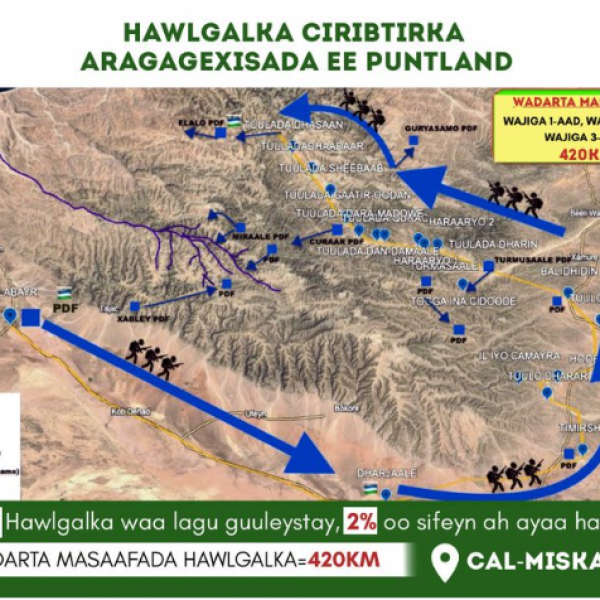 Somalia: Puntland says key ISIS leaders killed in Calmiskaad offensive ...