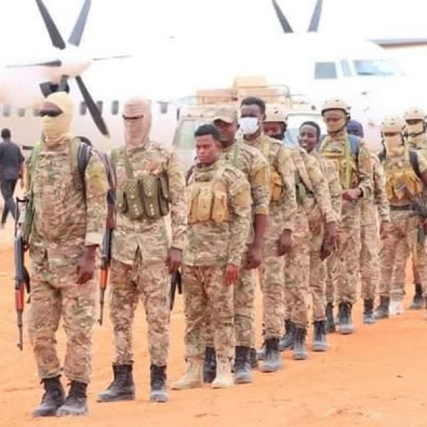 Somalia: Federal Troop Deployment Sparks Fears of Renewed Conflict in ...