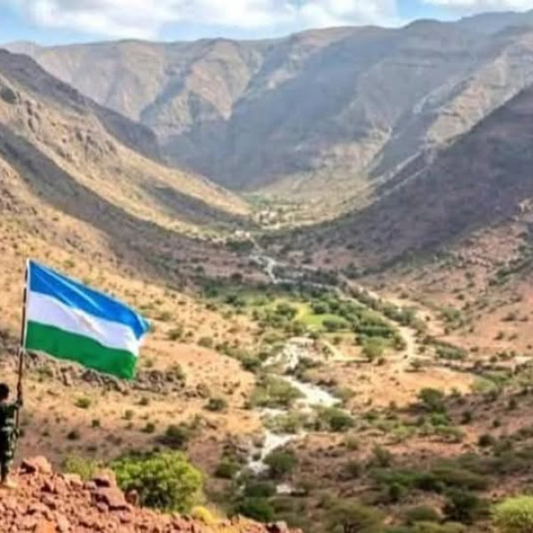 Somalia: U.S. military confirms operation against ISIS militants in ...