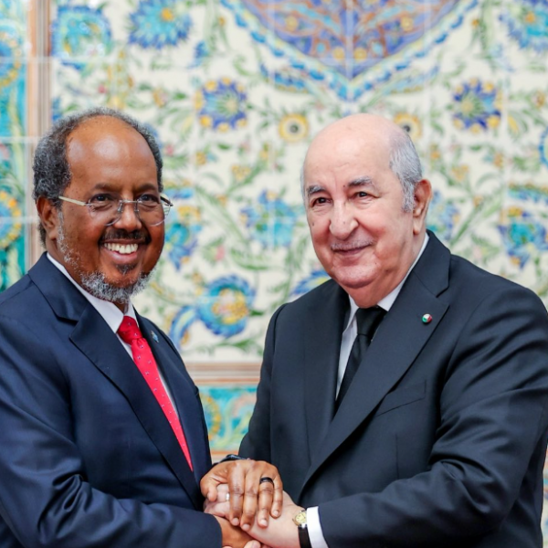 Somalia signs strategic deals with Algeria