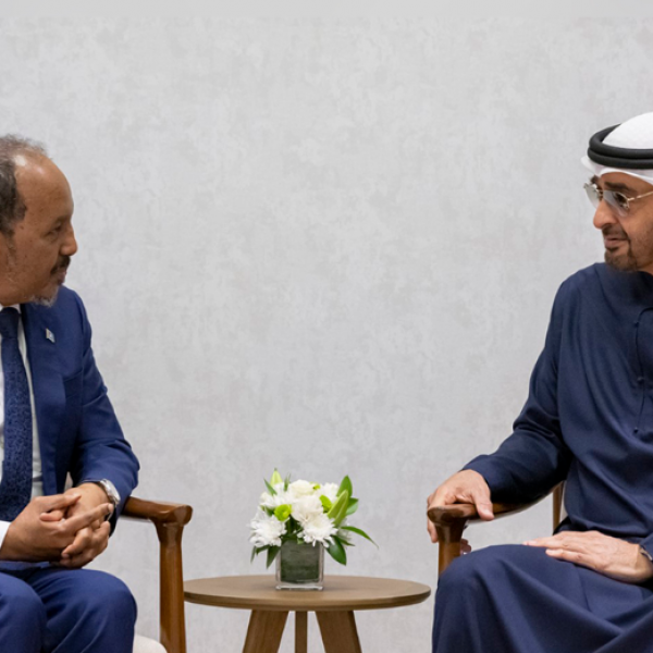 Somalia suspends port, defense and security deals with UAE